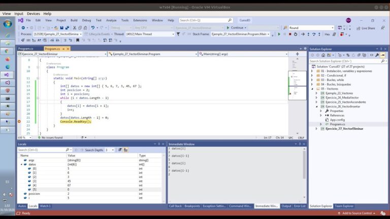 Eliminar un Elemento de un Vector en C++: La Guía Definitiva